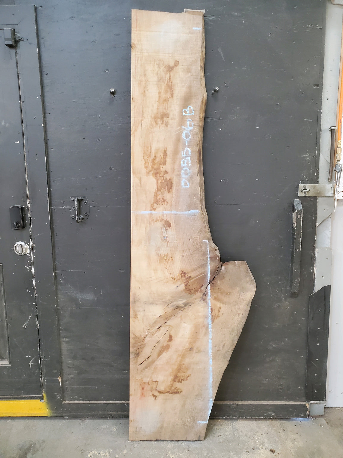 All Live Edge Slabs — Wane+Flitch