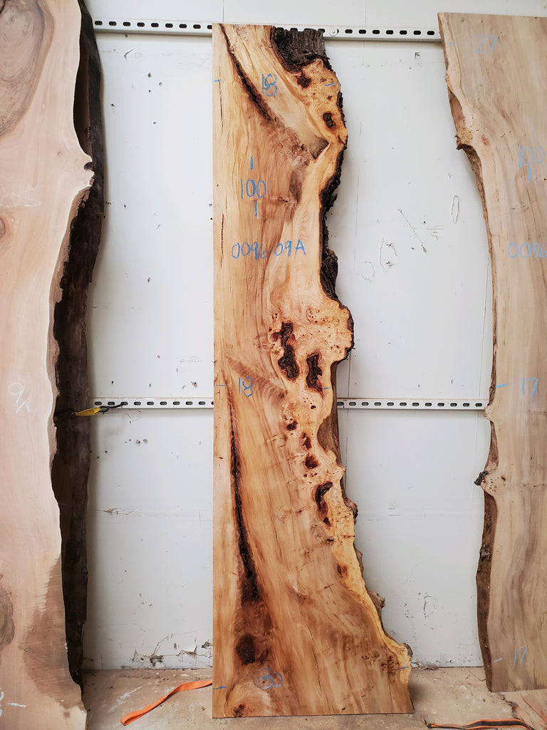 All Live Edge Slabs — Wane+Flitch