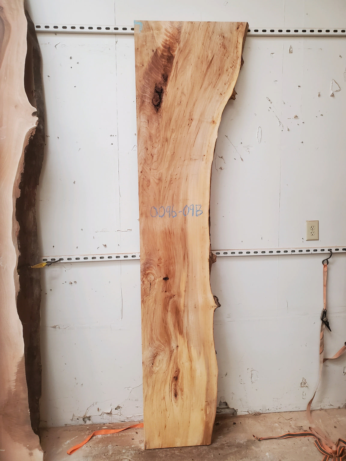 All Live Edge Slabs — Wane+Flitch