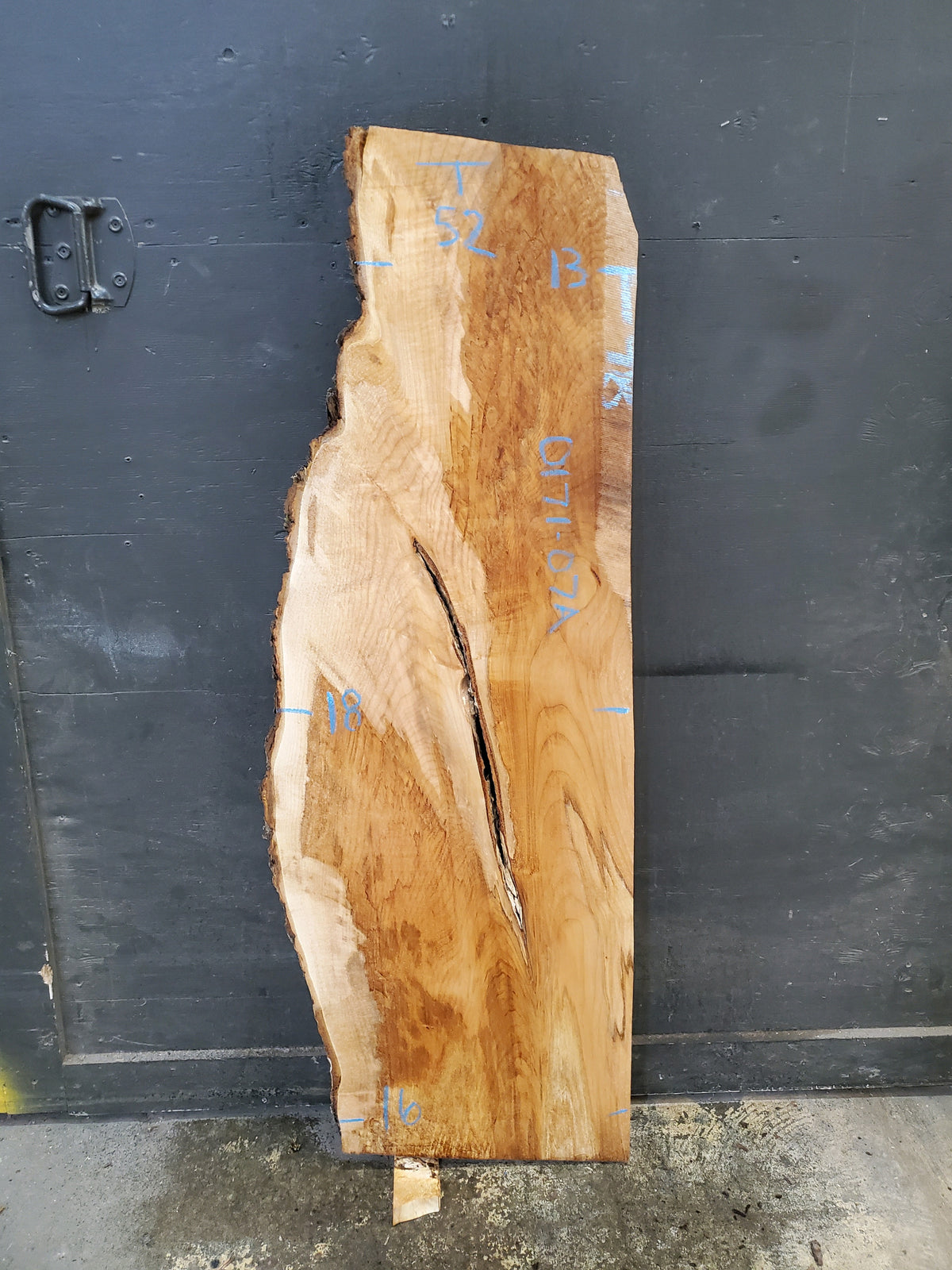 52" x 16" Maple Slab #017107A — Wane+Flitch