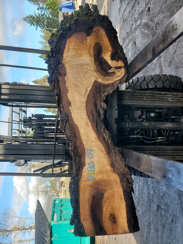 All Live Edge Slabs — Wane+Flitch