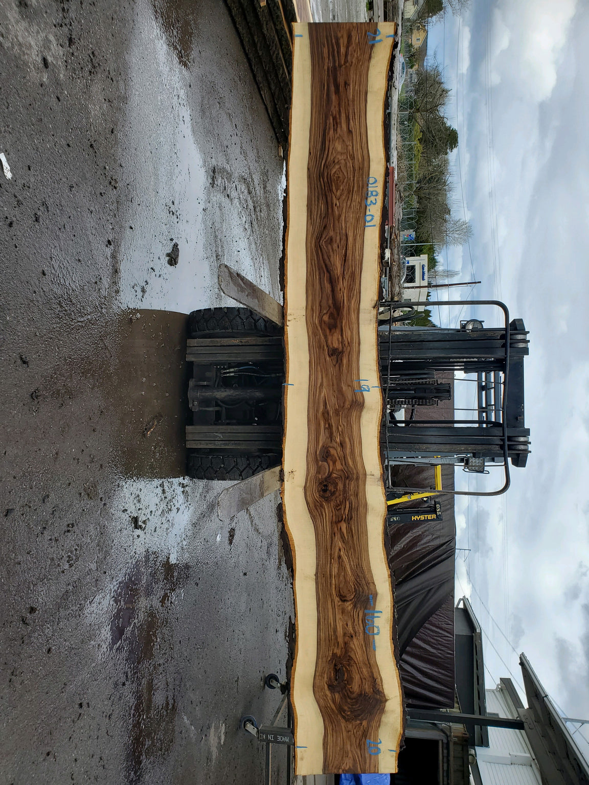 All Live Edge Slabs — Wane+Flitch