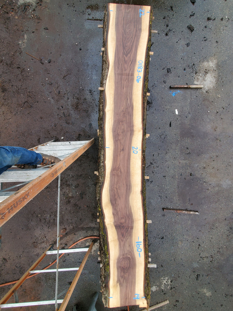 All Live Edge Slabs — Wane+Flitch
