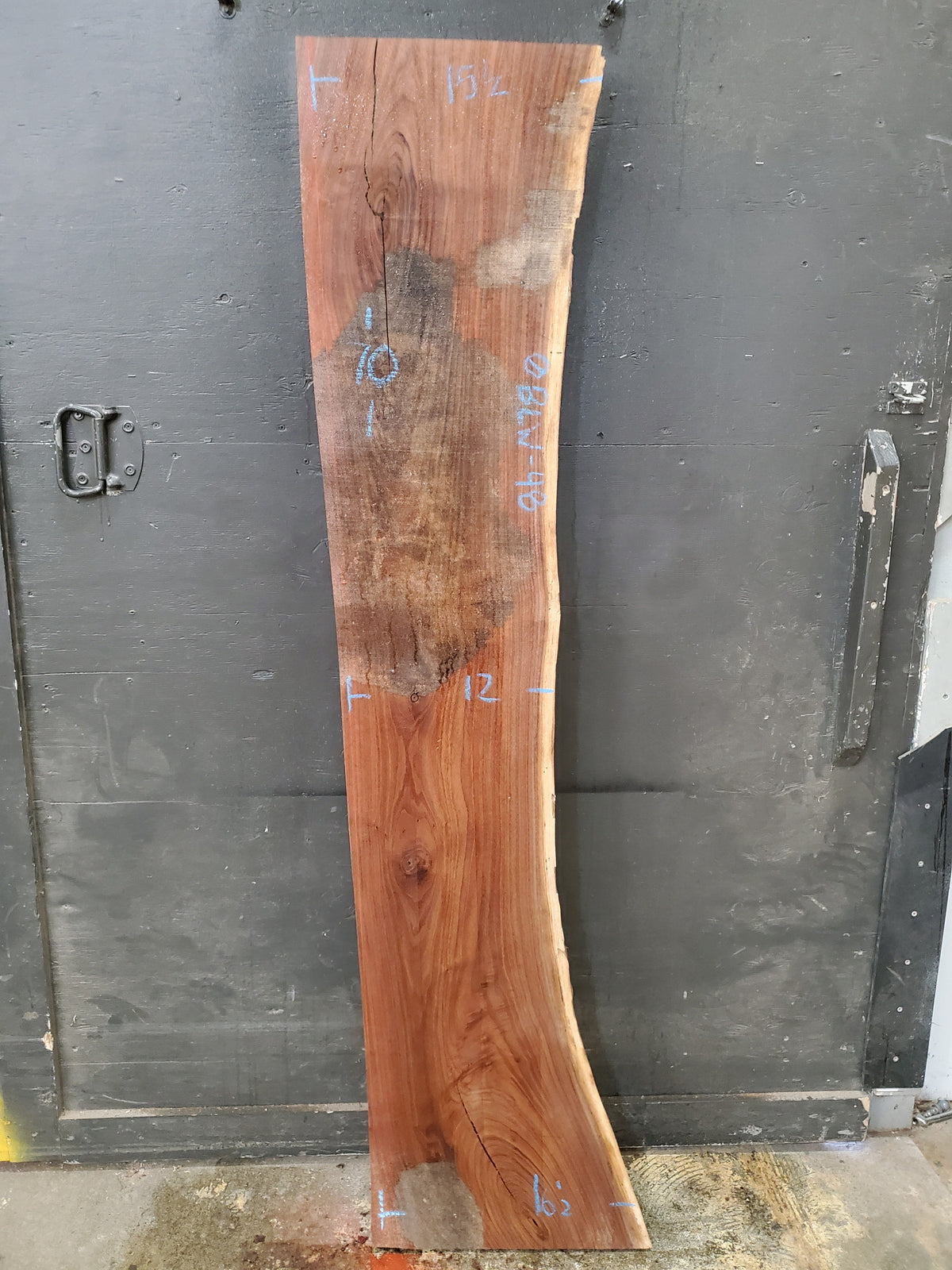 70" x 15" Black Walnut Slab #0BLW48 — Wane+Flitch