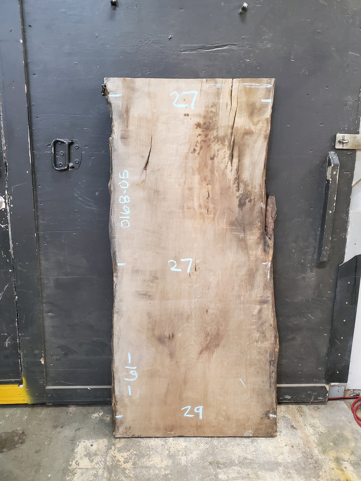 61" x 28" Maple Slab #016805 — Wane+Flitch