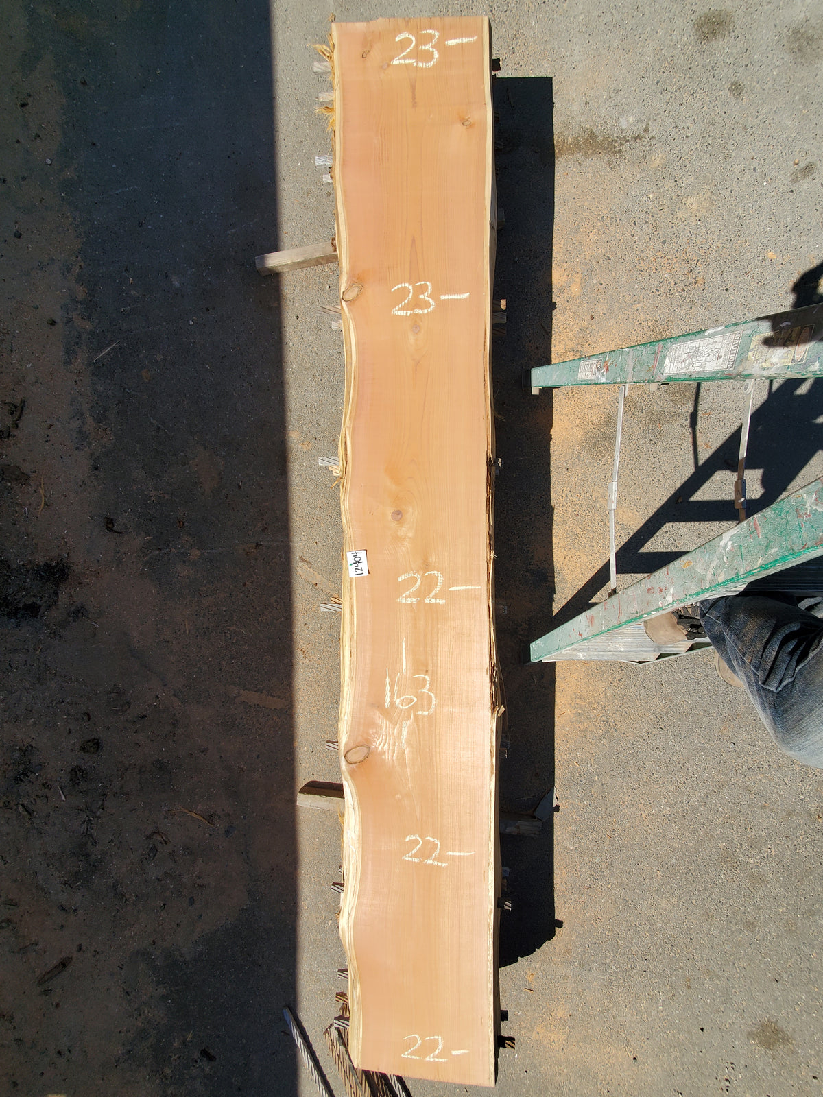 163" x 22" Cedar Slab #12404 — Wane+Flitch