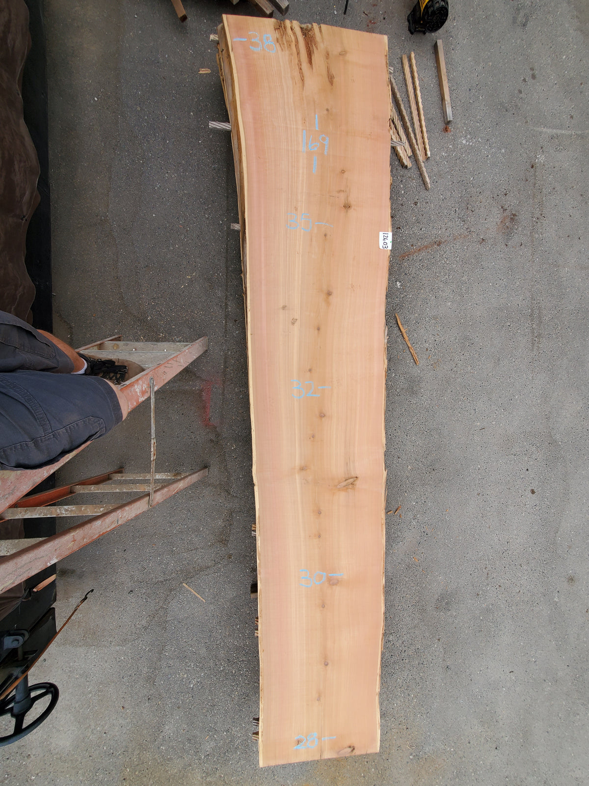 169" x 33" Cedar Slab #12603 — Wane+Flitch