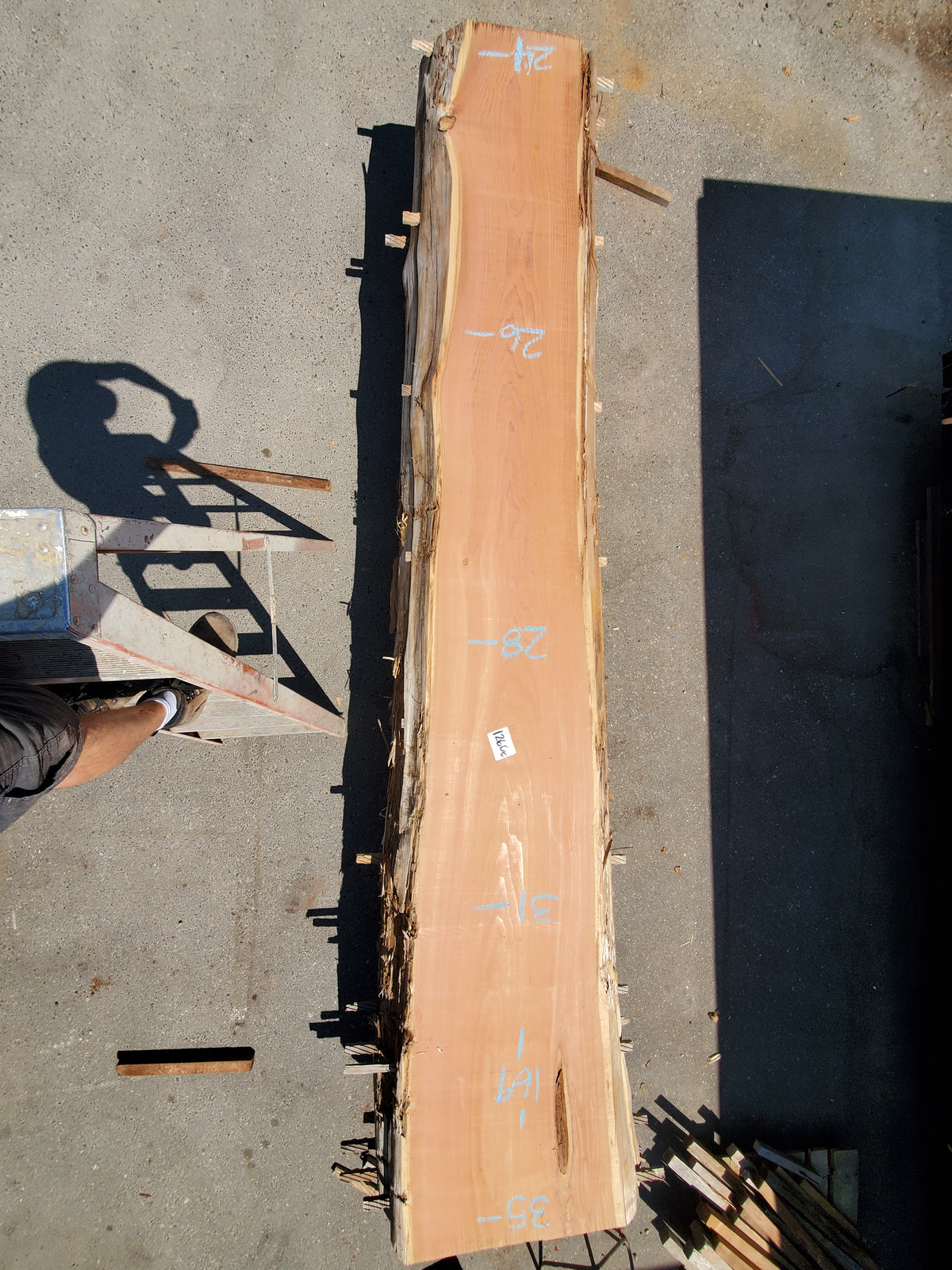 169" x 29" Cedar Slab #12606 — Wane+Flitch