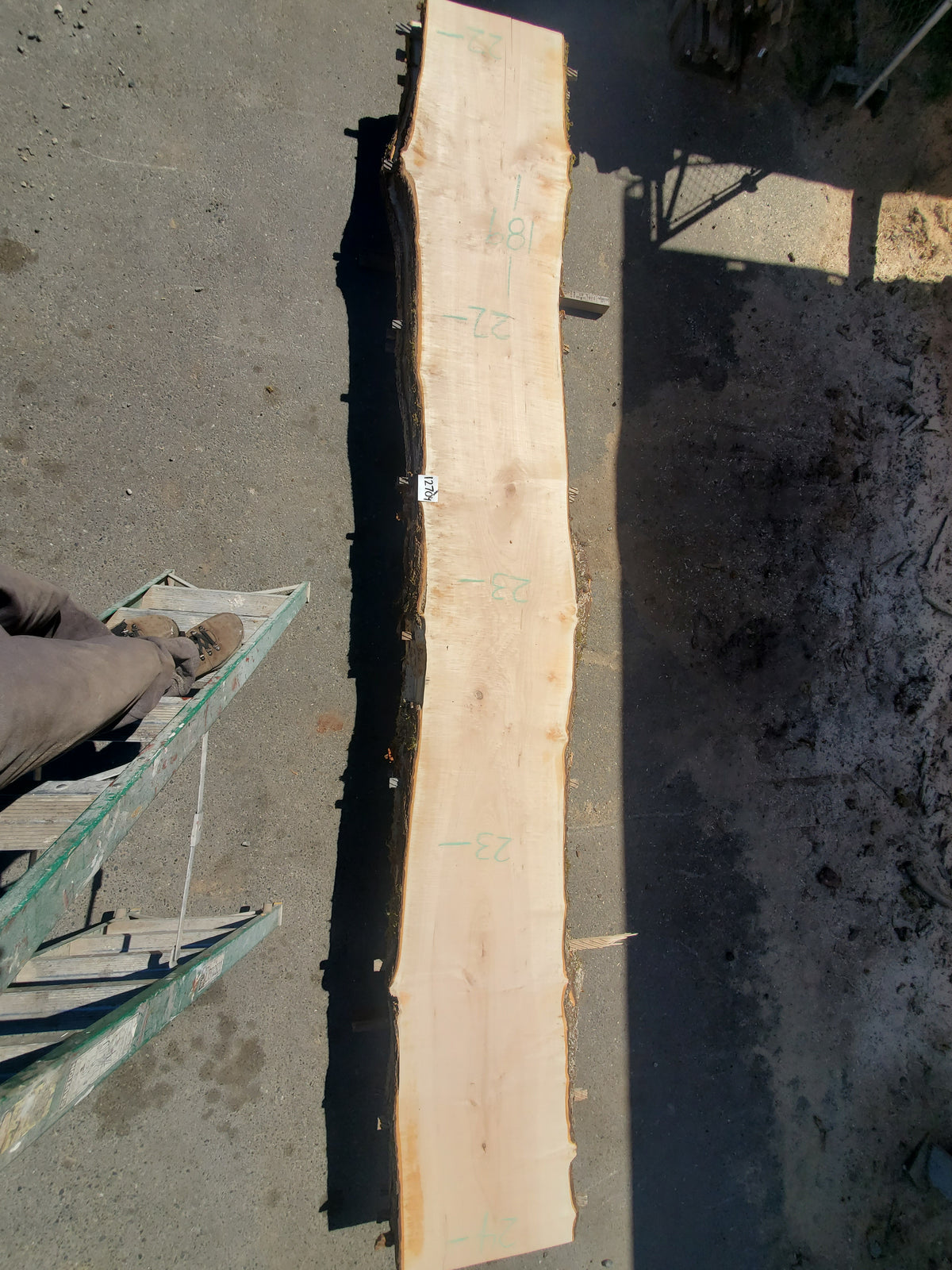 189" x 23" Maple Slab #12704 — Wane+Flitch