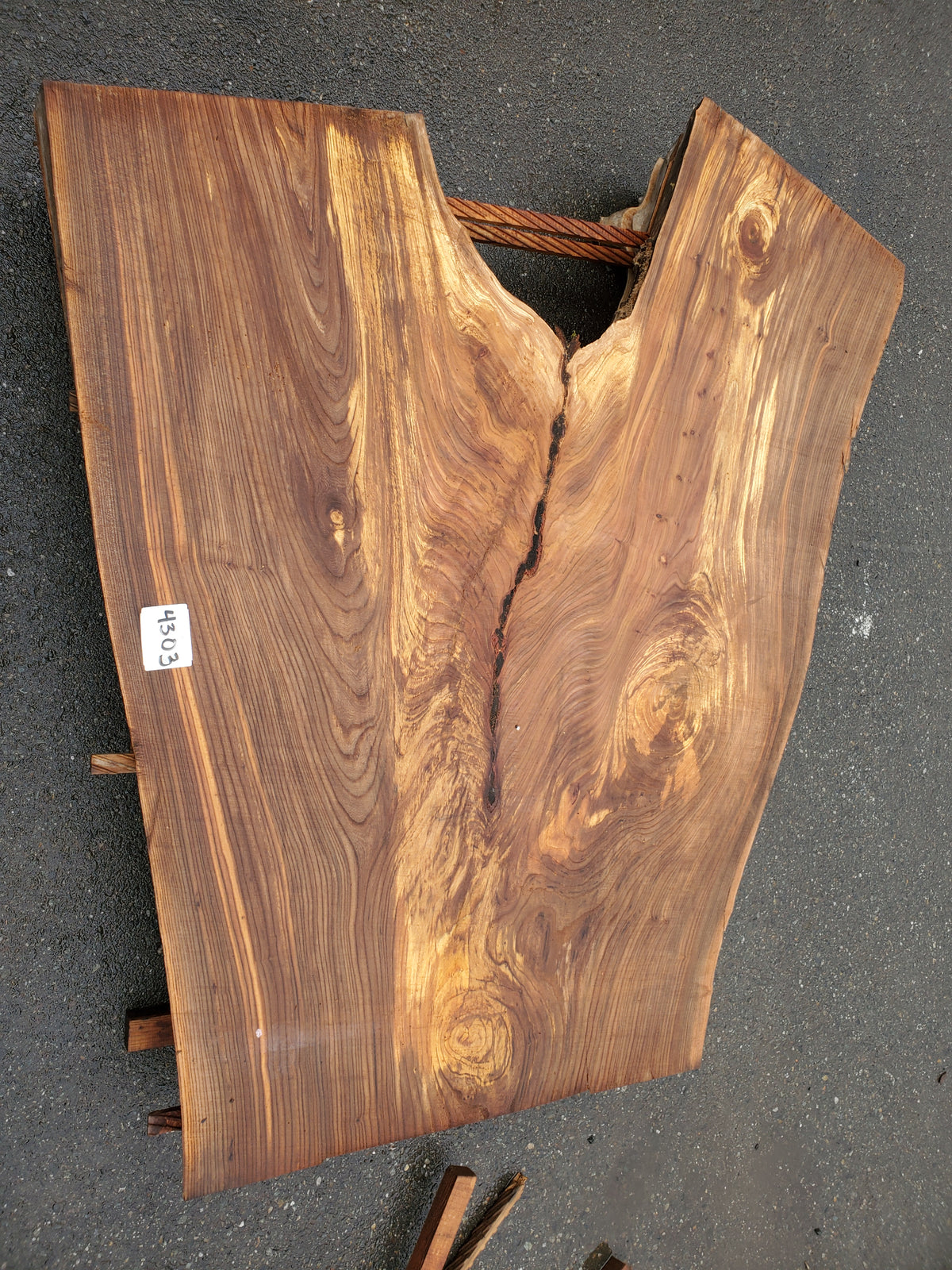 70" x 58" Elm Slab #004303 — Wane+Flitch
